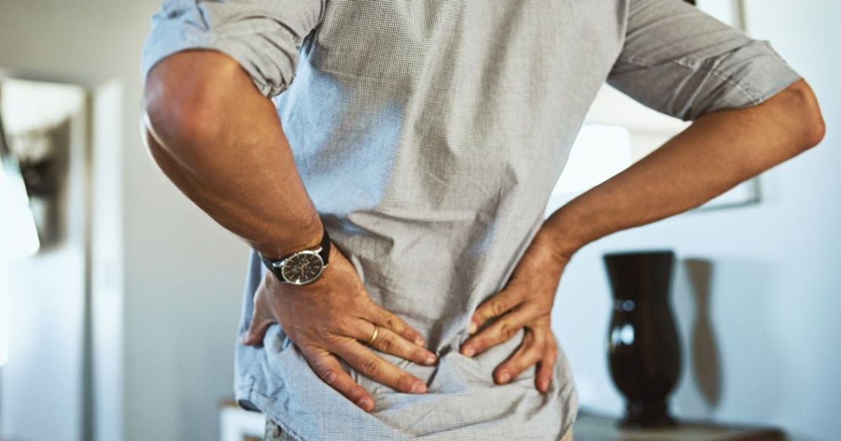 Decoding Back Pain: Ten Underlying Causes You Should Know - Facty Health