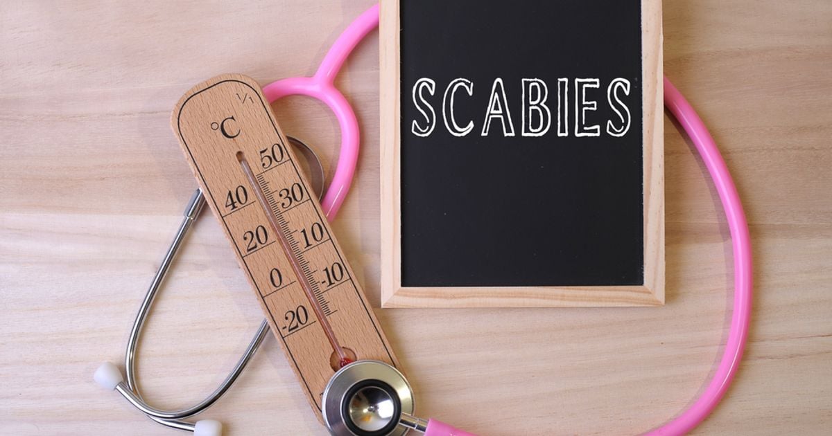 10 Symptoms of Scabies - Facty Health