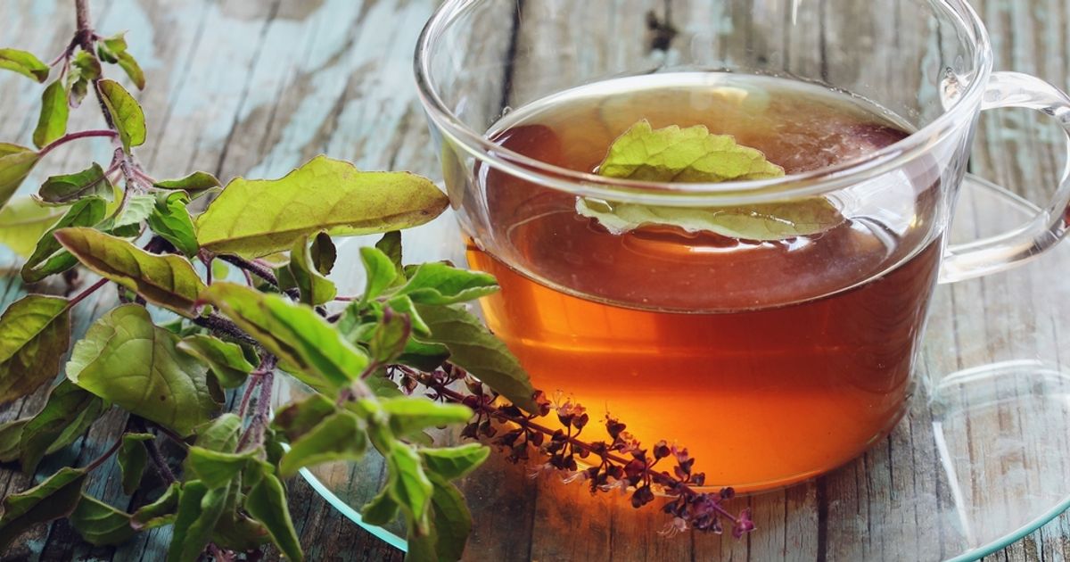 Discover the Healing Power of Tulsi: 10 Benefits You Need to Know ...
