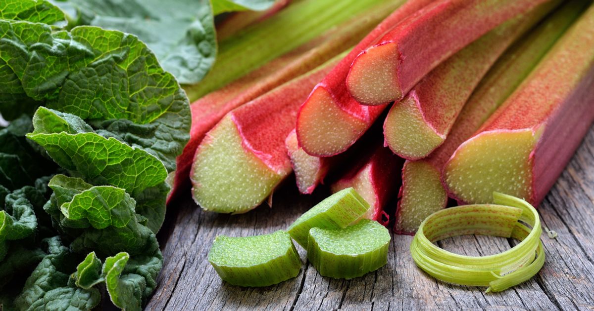 The Spectacular Benefits of Rhubarb - Facty Health