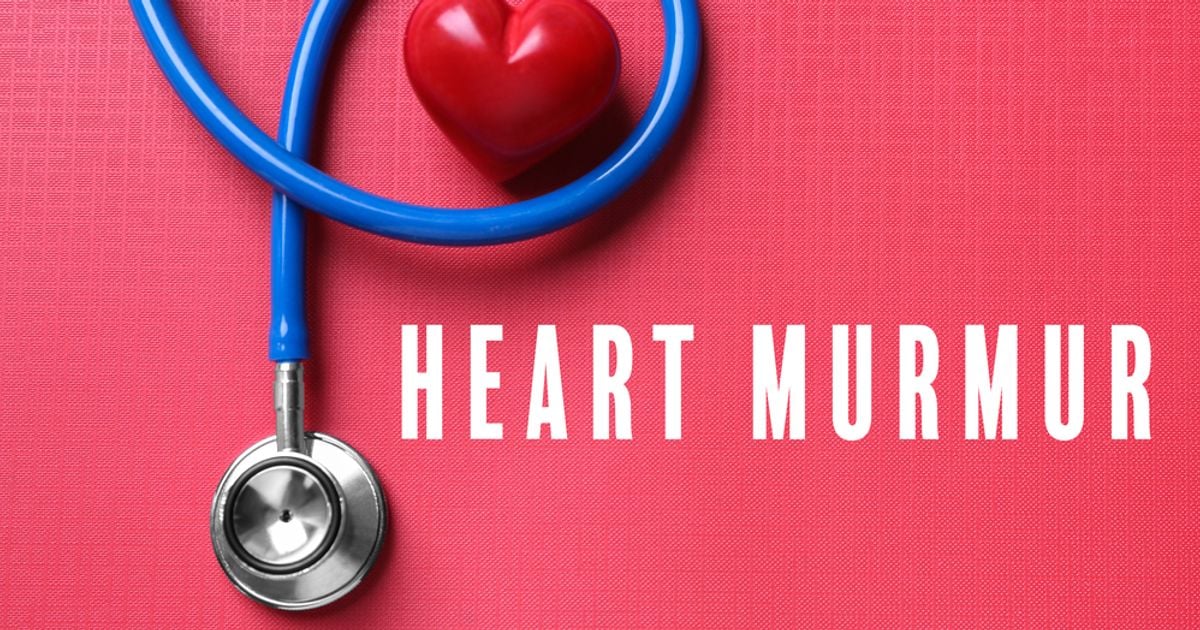 Decoding Heart Murmurs: From Symptoms to Surgery - Facty Health
