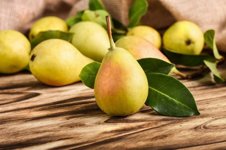 The Pear Not the Forbidden Fruit - Facty Health