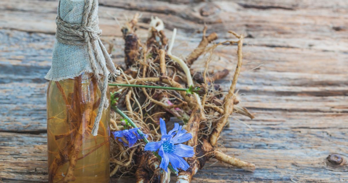 Health Benefits of Chicory Root - Facty Health