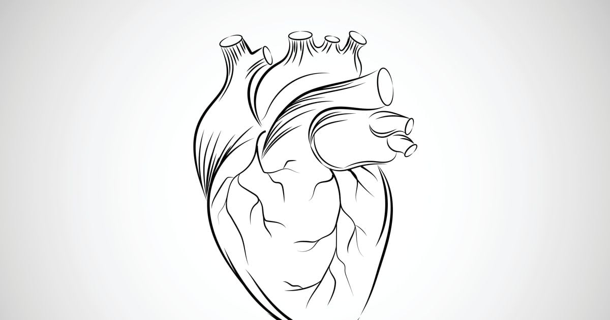 Enlarged Heart: Causes, Symptoms, and Treatment Options - Facty Health