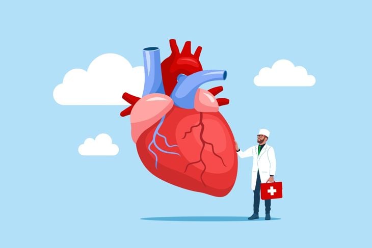 Enlarged Heart: Causes, Symptoms, and Treatment Options - Facty Health