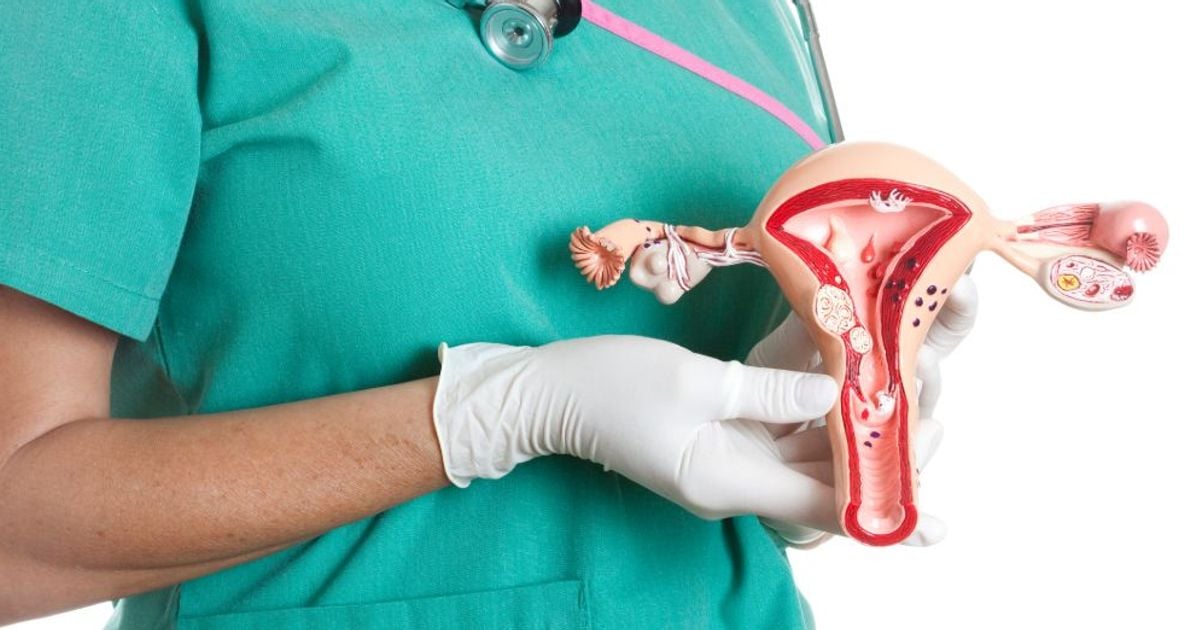 What is a Proliferative Endometrium? - Facty Health
