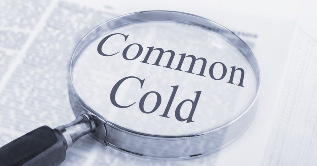 The Causes of the Common Cold - Facty Health