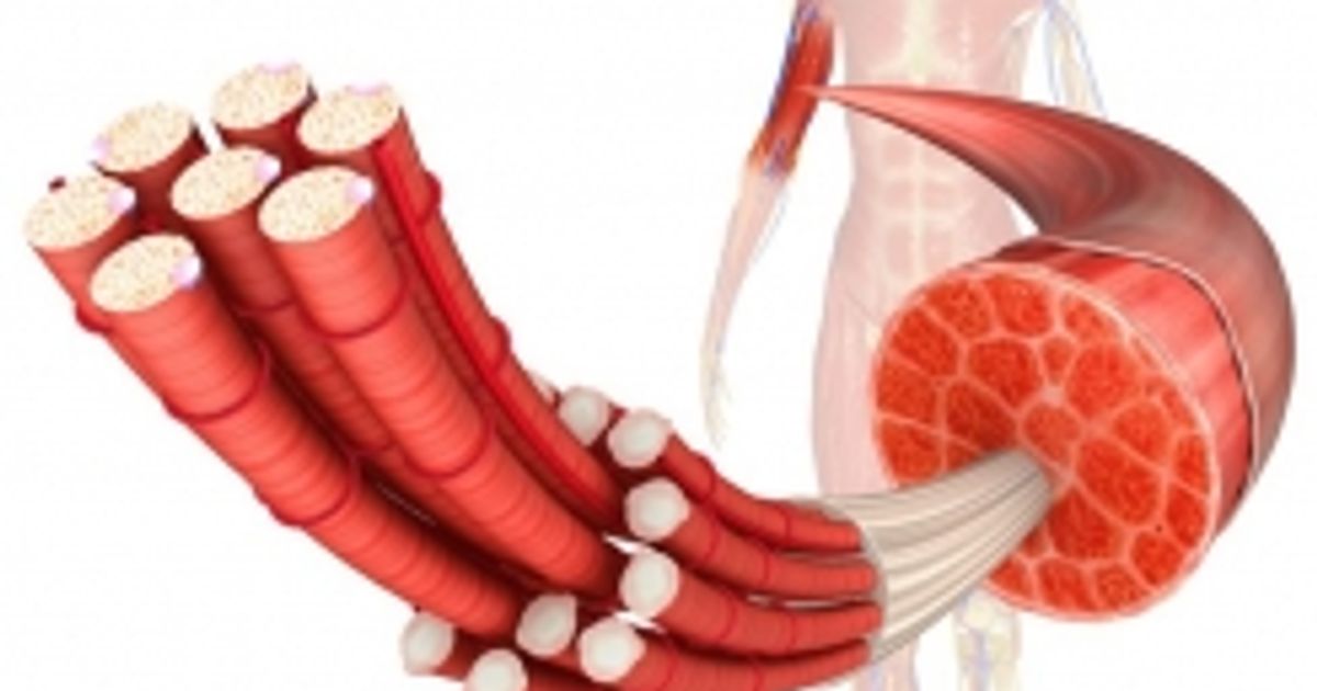 Interesting Facts About Myofascial Pain - Facty Health