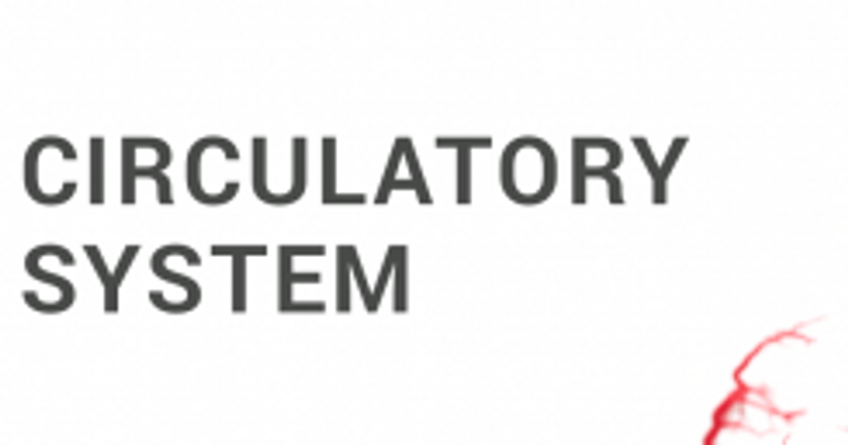 All About the Circulatory System - Facty Health