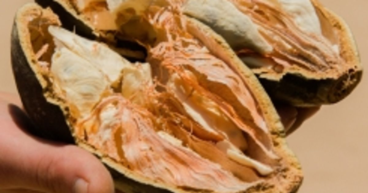 Health Benefits of Baobab Fruit - Facty Health