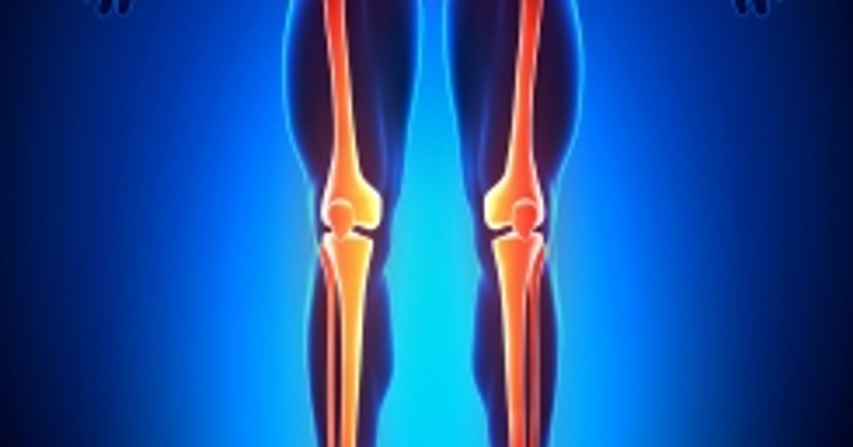 The Bones of the Legs - Facty Health