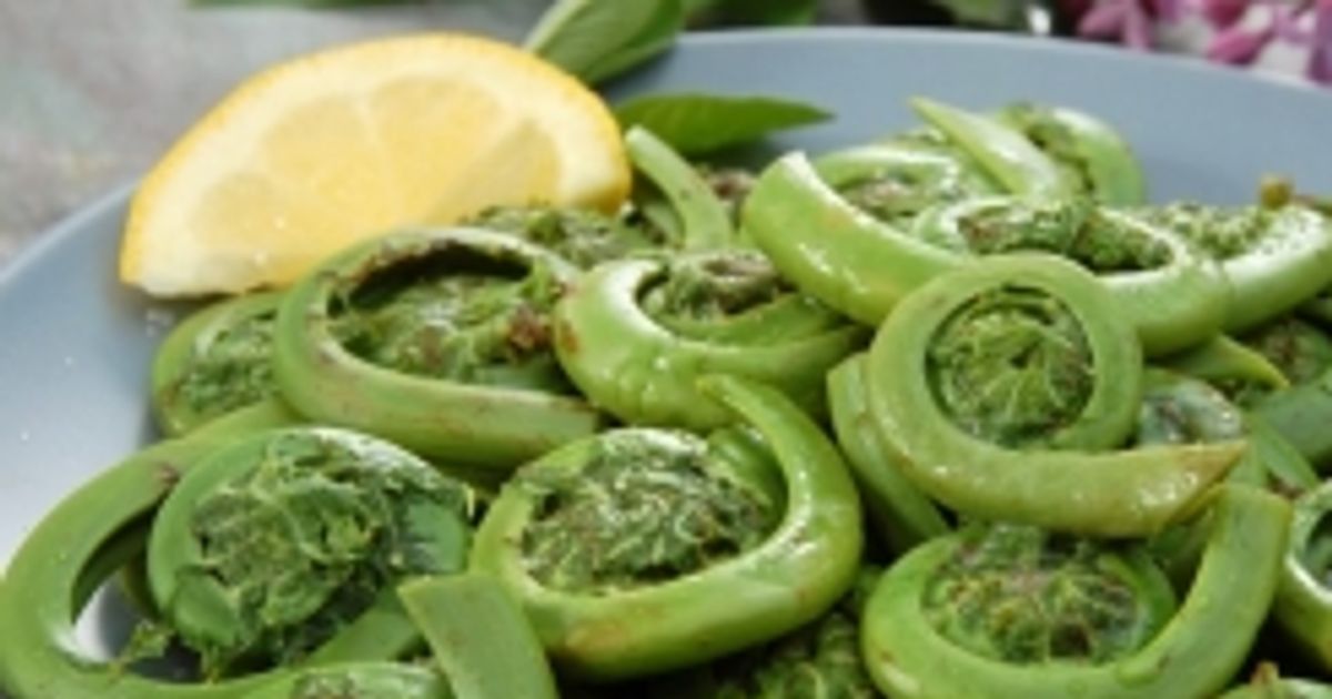 The Health and Culinary Benefits of Fiddleheads - Facty Health