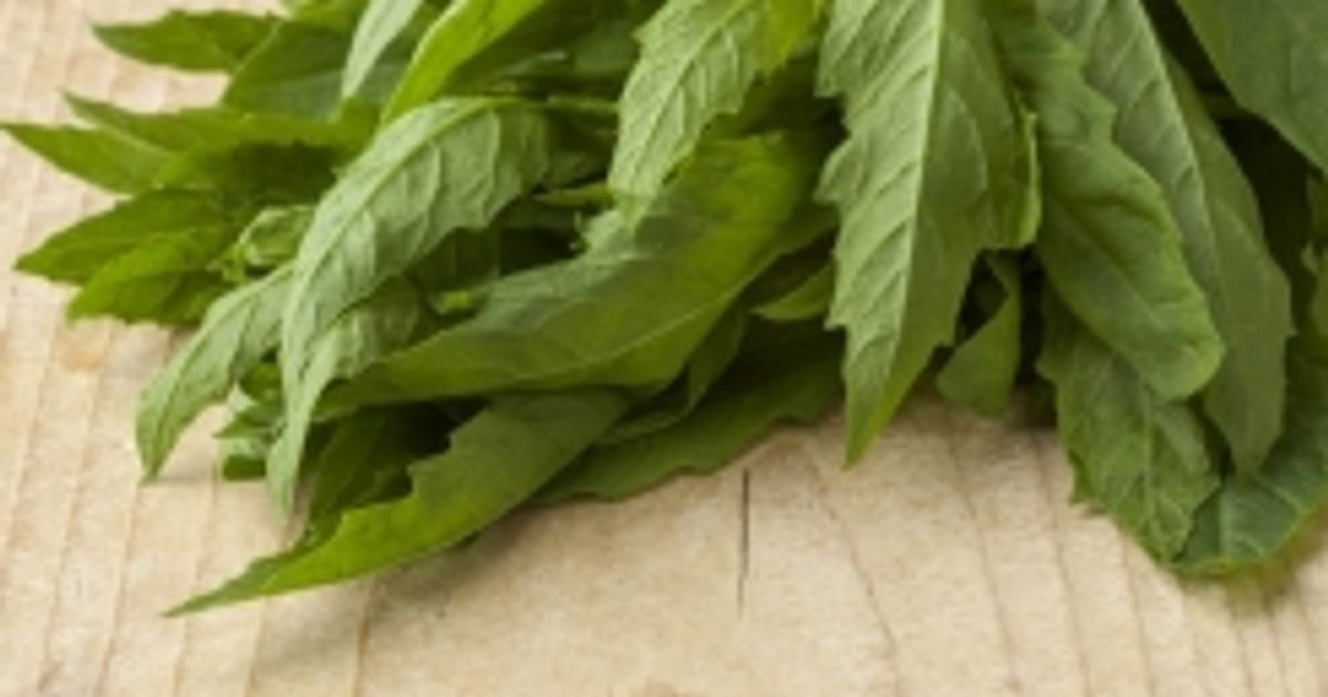 What are the Health Benefits of Epazote? - Facty Health