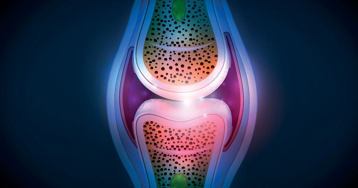 The Purpose of Synovial Fluid - Facty Health