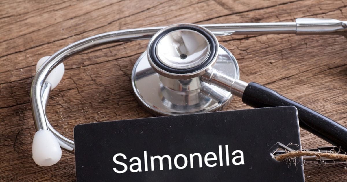Understanding Salmonella: A Guide to its 10 Symptoms - Facty Health