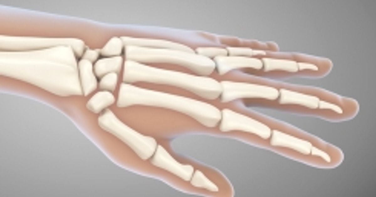Bones in the Human Hand - Facty Health