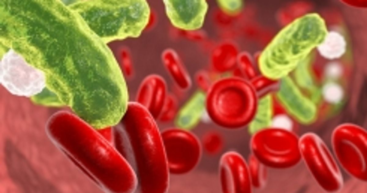 What Are Blood Infections and Bacteremia? - Facty Health