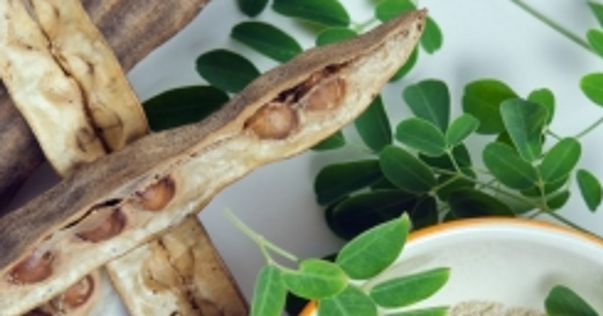 The Phenomenal Health Benefits of Moringa - Facty Health