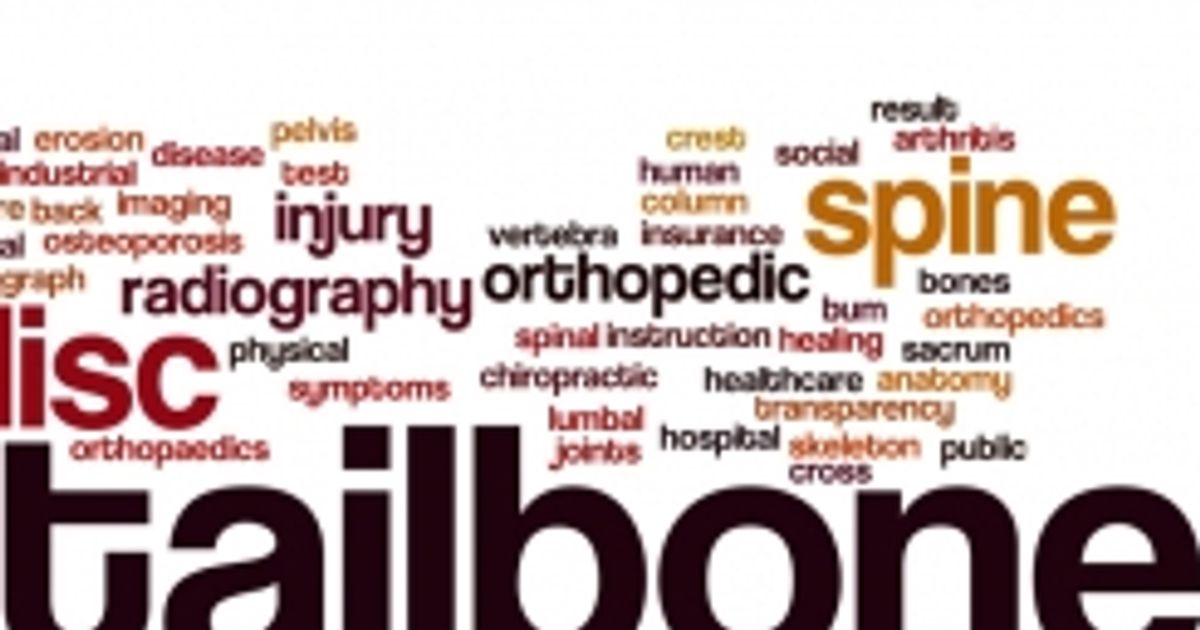 What is the Tailbone or Coccyx? - Facty Health