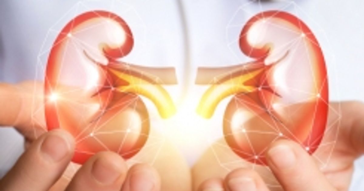 10 Steps to Optimize Kidney Function - Facty Health
