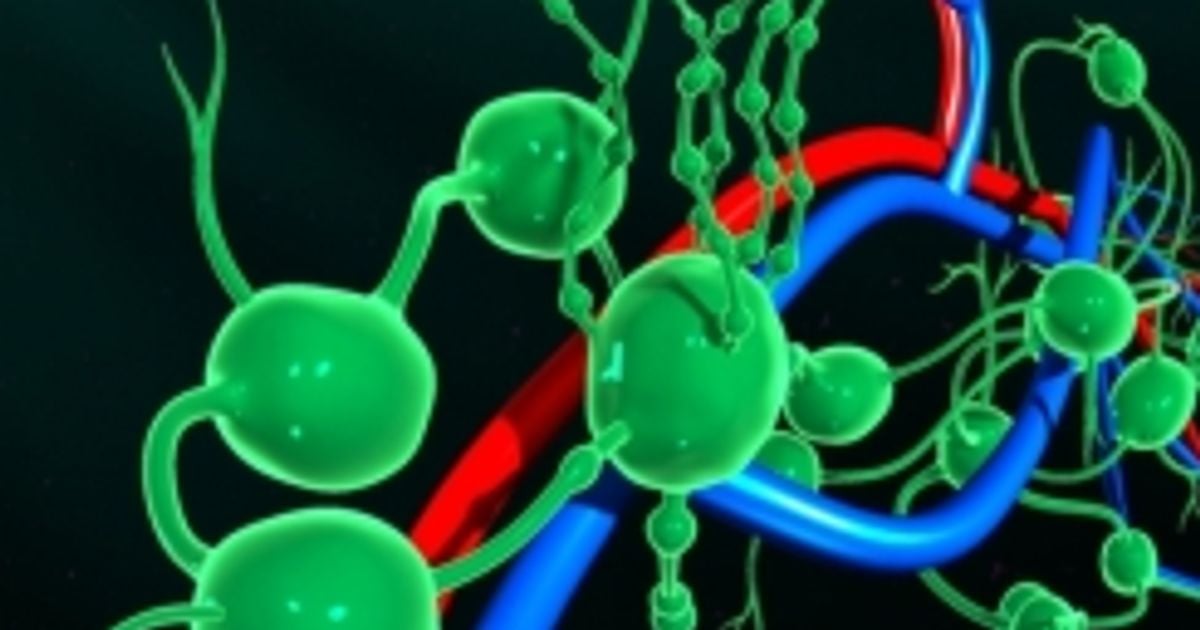 Understanding the Anatomy and Function of Lymph Nodes - Facty Health