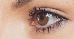 Causes, Symptoms, and Treatments of Eye Floaters - Facty Health