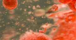 What Color is Blood? - Facty