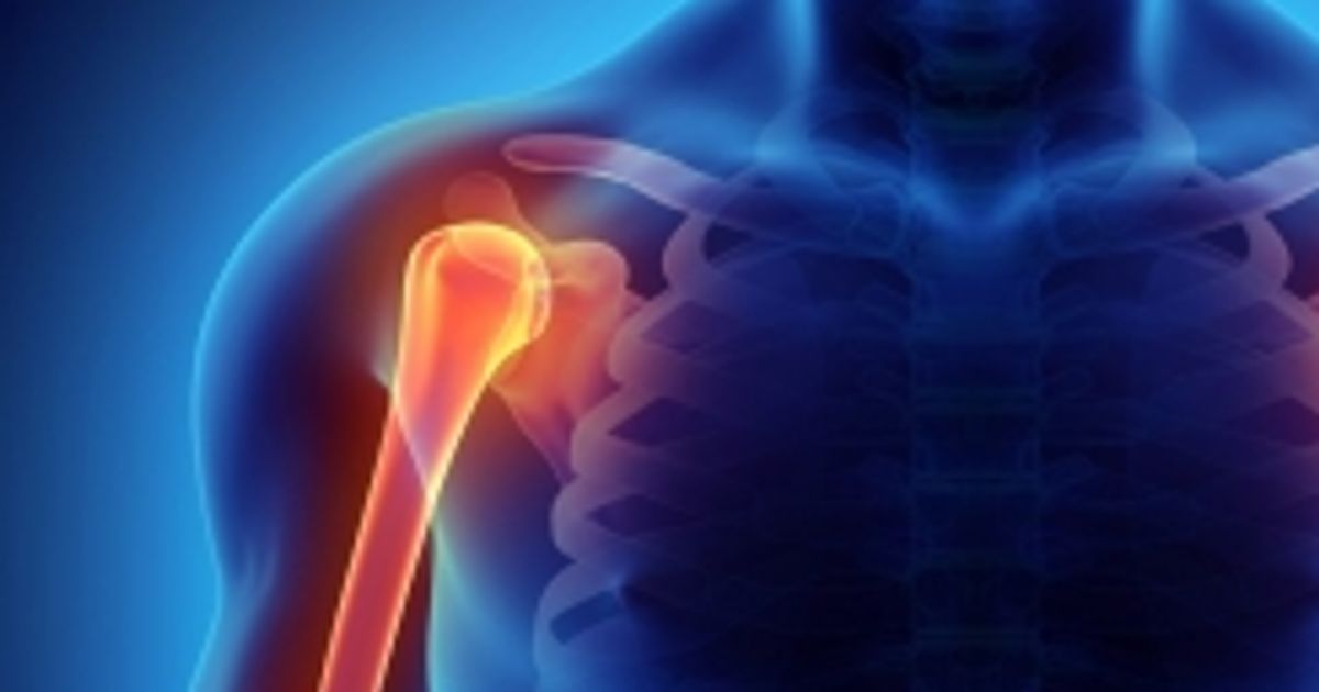 What is the Humerus? - Facty Health