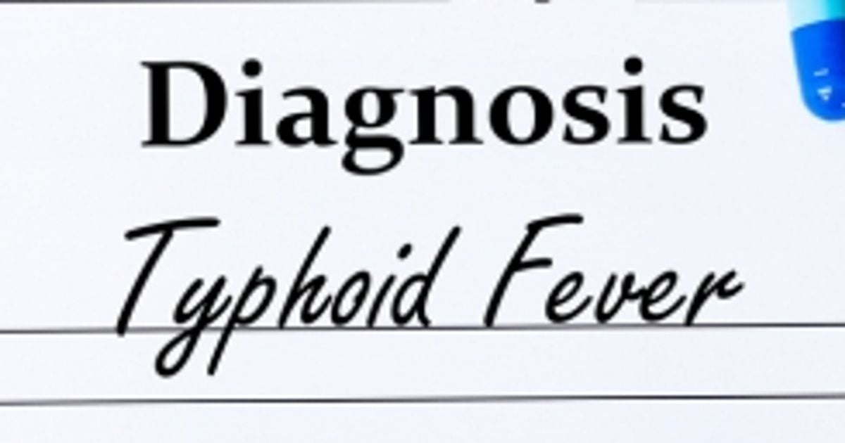 All About Typhoid Fever - Facty Health