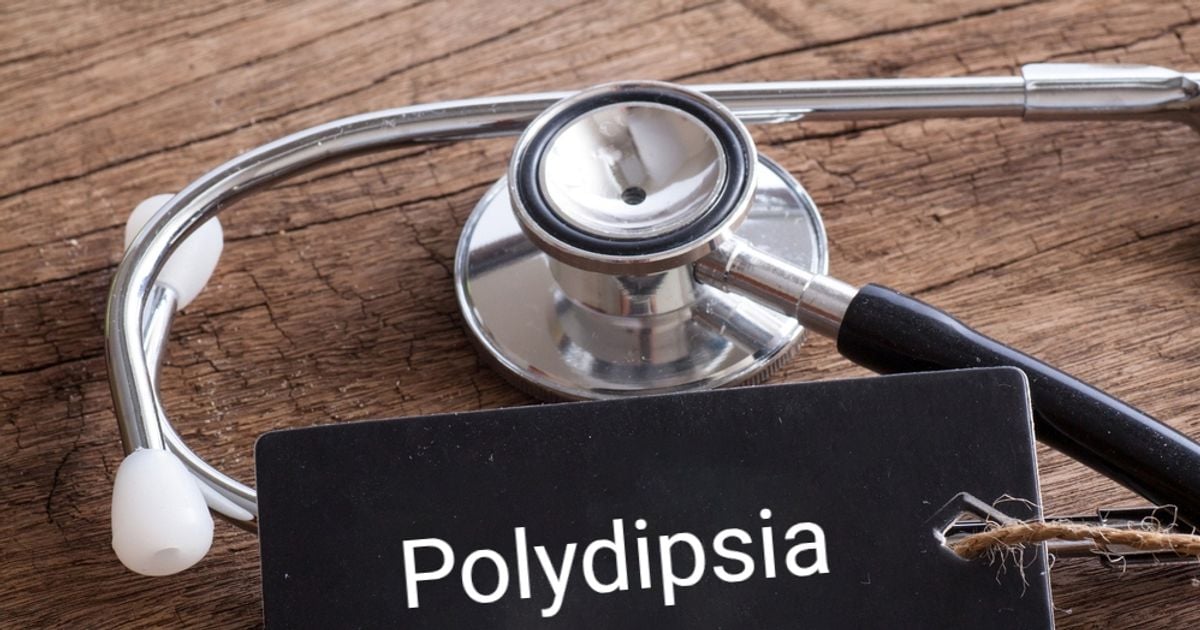 Understanding Polydipsia or Excessive Thirst - Facty Health