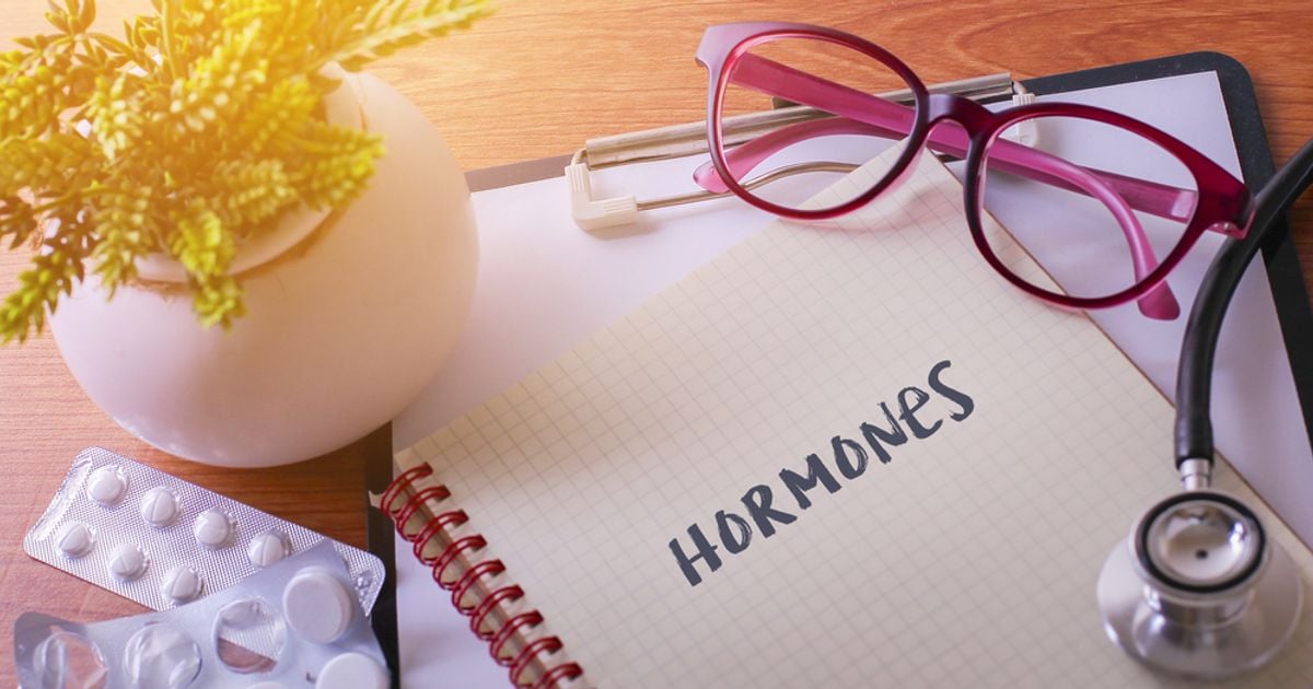 Hormones: The Body's Chemical Messengers - Facty Health