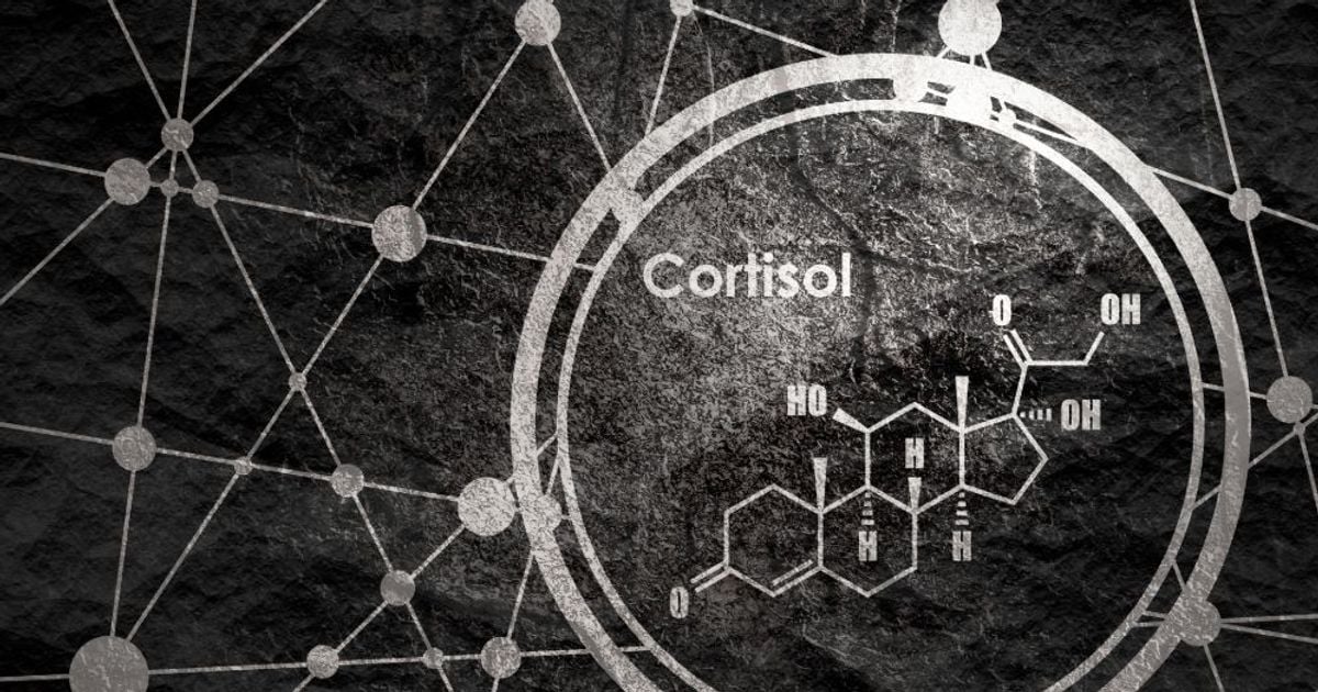 How Natural Cortisol Impacts Your Body - Facty Health