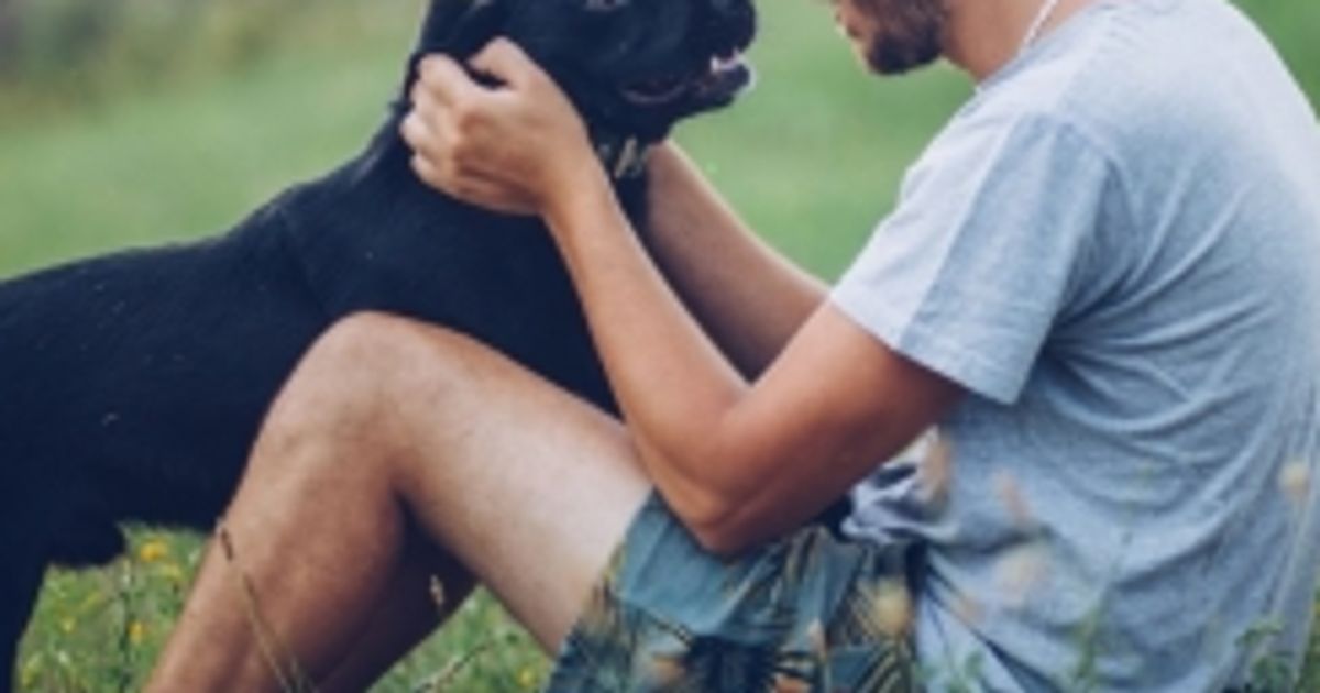 Simple Ways To Activate Your Immune System Facty Health