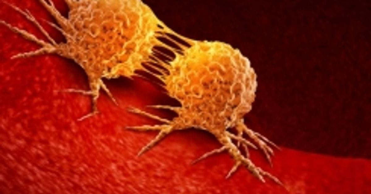 What Are Carcinogens, Really? - Facty Health