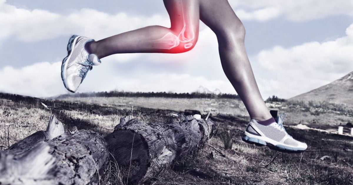 Knee Sprains and Ligament Injuries - Facty Health