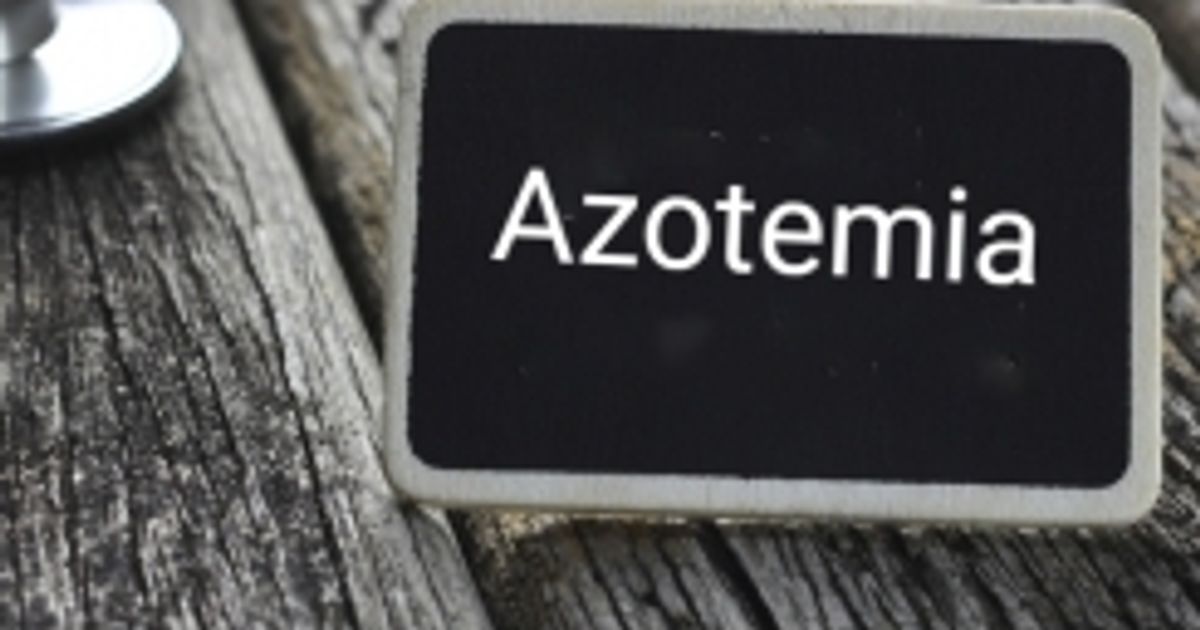 What Is Azotemia? - Facty Health