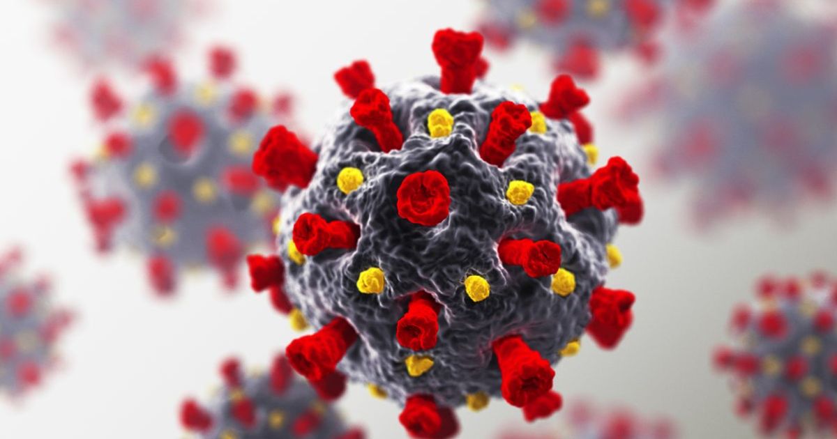 Understanding the Different Types of Coronavirus - Facty Health