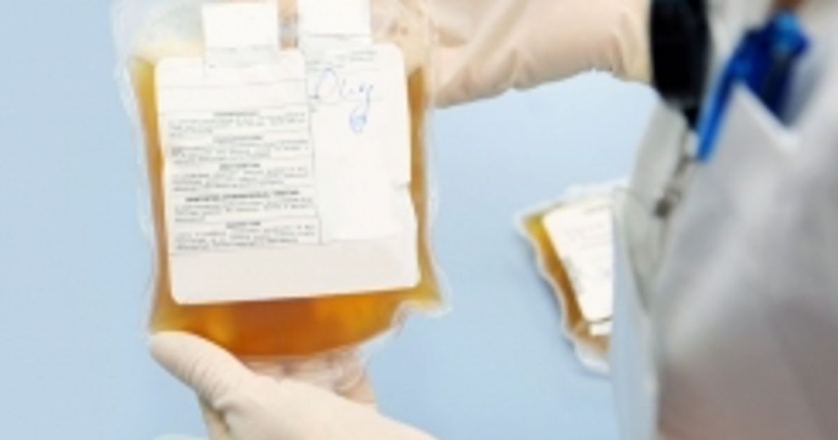 Parts of the Blood: What is Plasma? - Facty Health