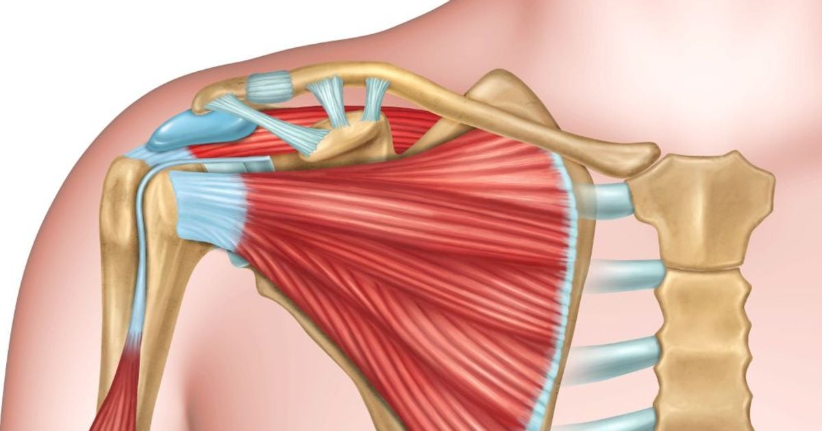 Rotator Cuff Exercises for Conditioning and Rehabilitation - Facty Health