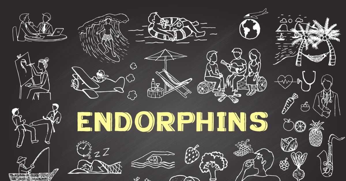 How Do Endorphins Work in the Body? - Facty Health