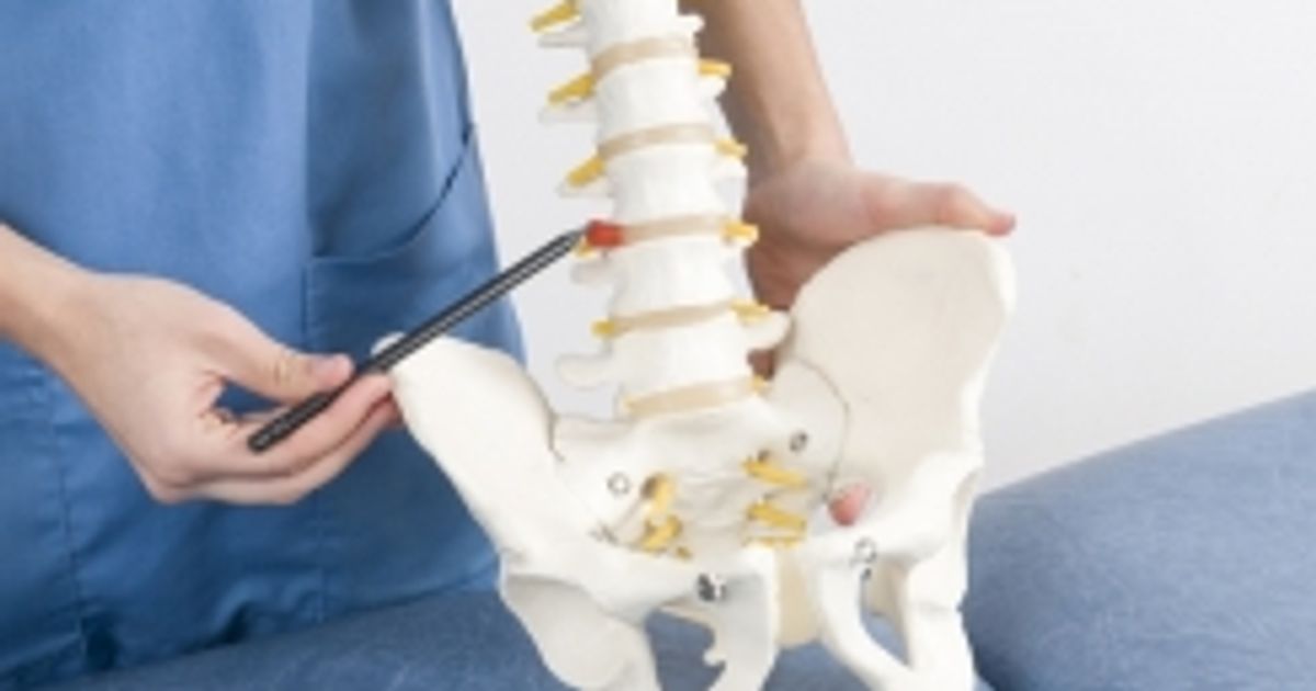 The Lumbar Vertebrae and Their Functions - Facty Health