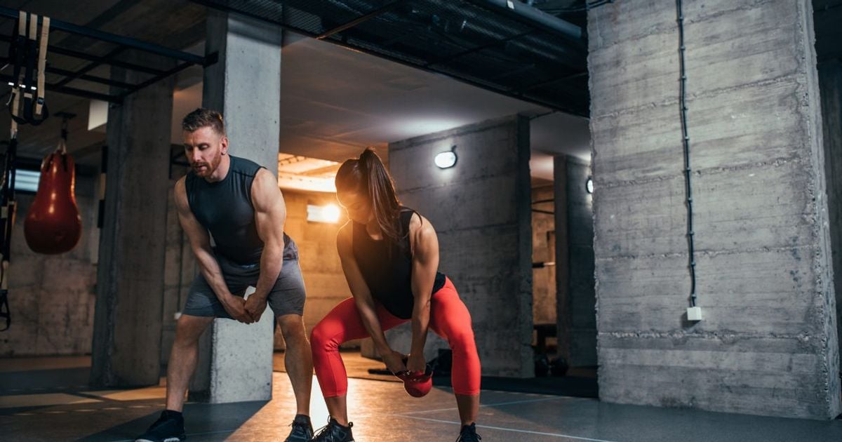 The Complete Guide to Mesomorphs - Facty Health