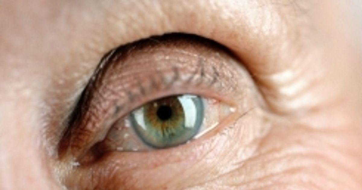 The Science Behind Eye Color - Facty Health