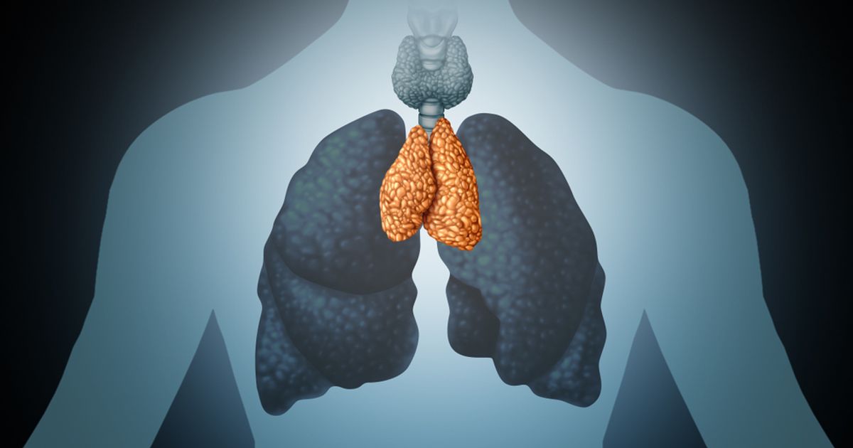 Anatomy, Location, and Functions of the Thymus - Facty Health