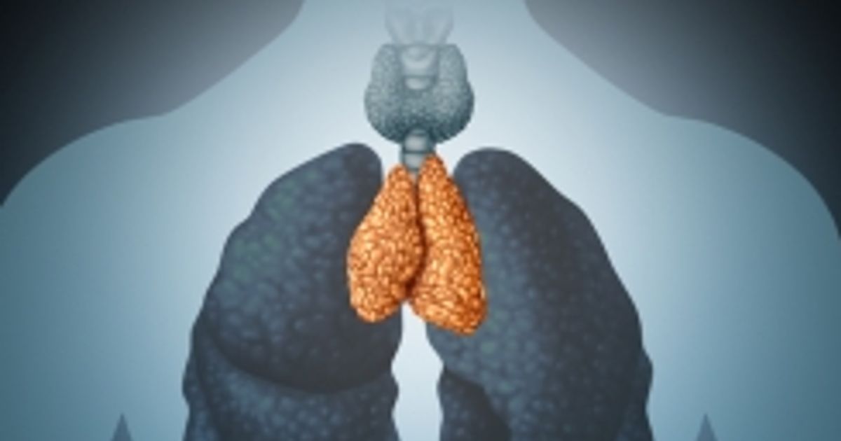 Anatomy, Location, and Functions of the Thymus - Facty Health