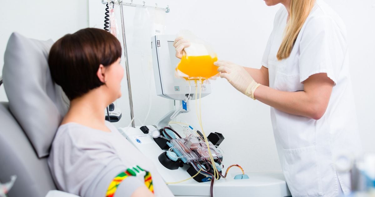 Plasmapheresis or Therapeutic Plasma Exchange - Facty Health