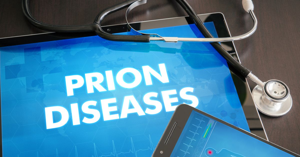 Why Are Prion Diseases So Fatal? - Facty Health