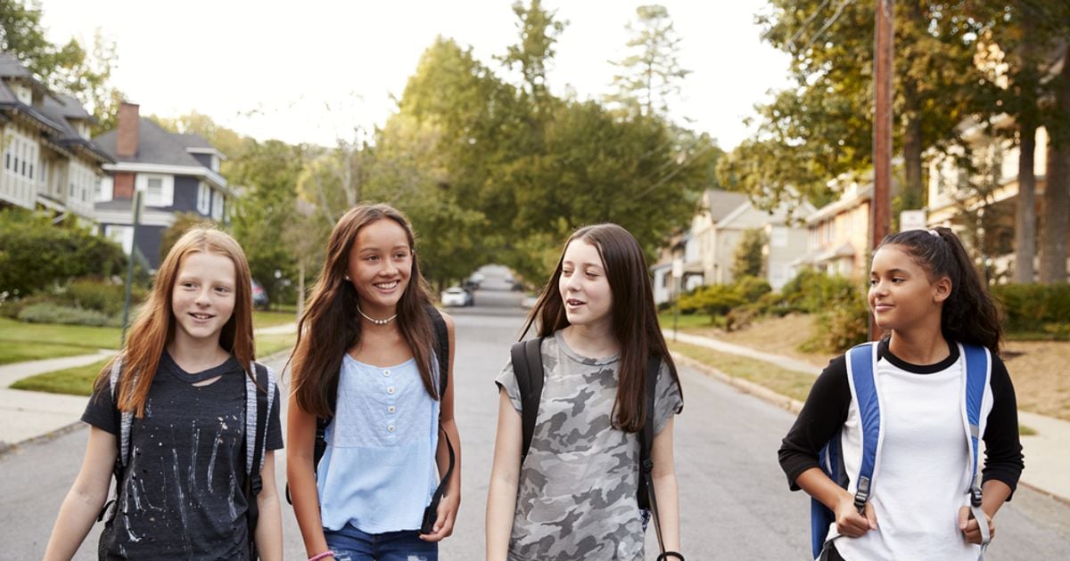 Factors that Contribute to Menarche - Facty Health