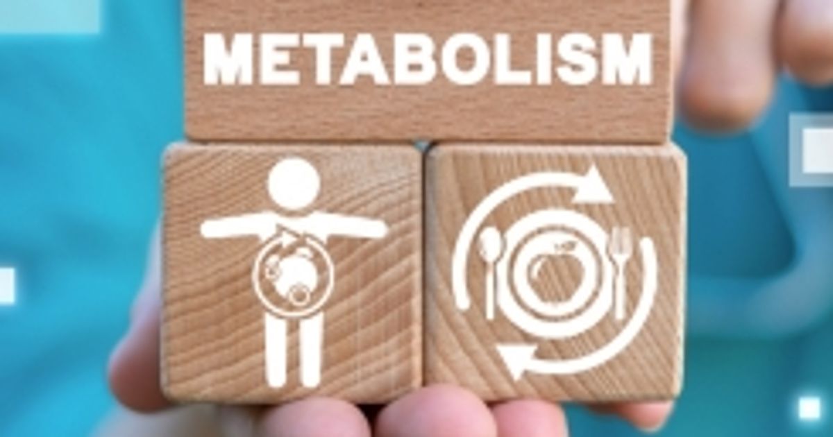 Understanding What Metabolism Really Means - Facty Health