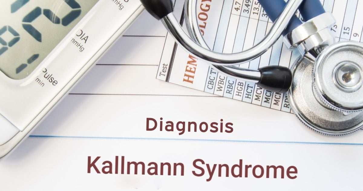 Kallmann Syndrome, Sex Hormones, and Genetics - Facty Health